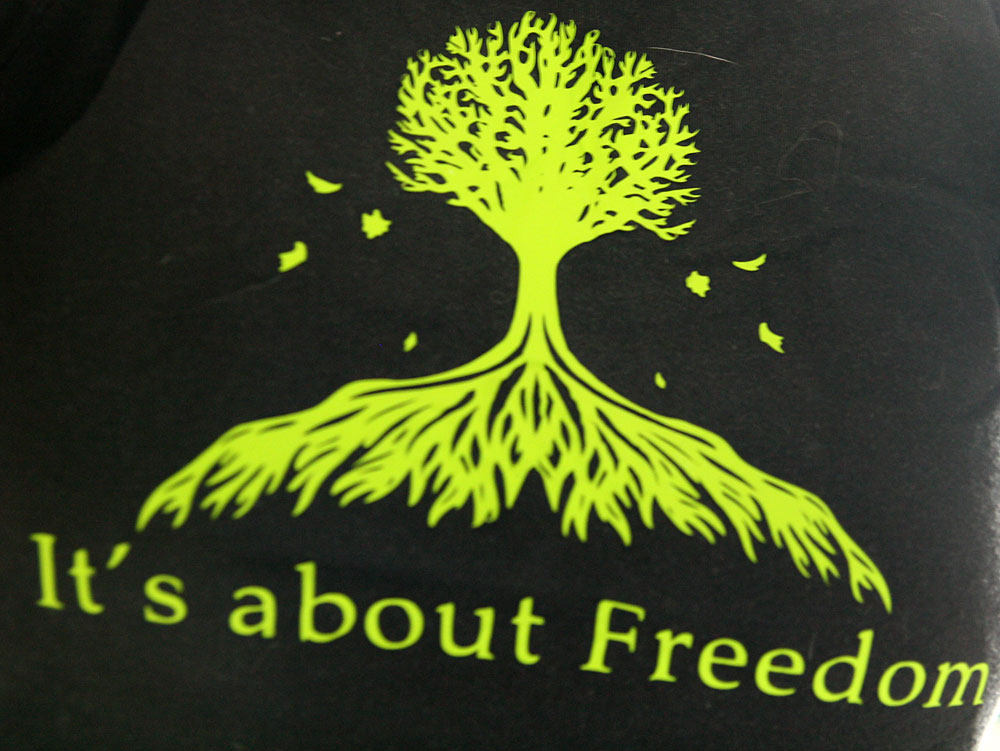 Capturing Green - No Ordinary Homestead