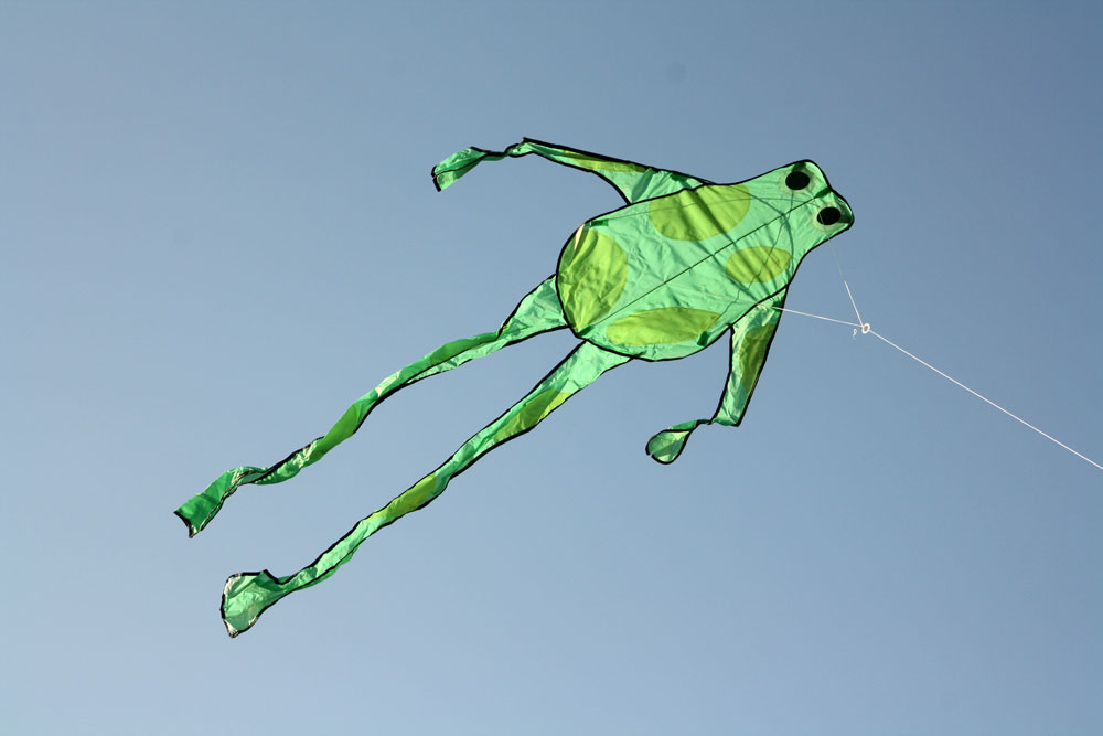 Capturing Cute - No Ordinary Homestead