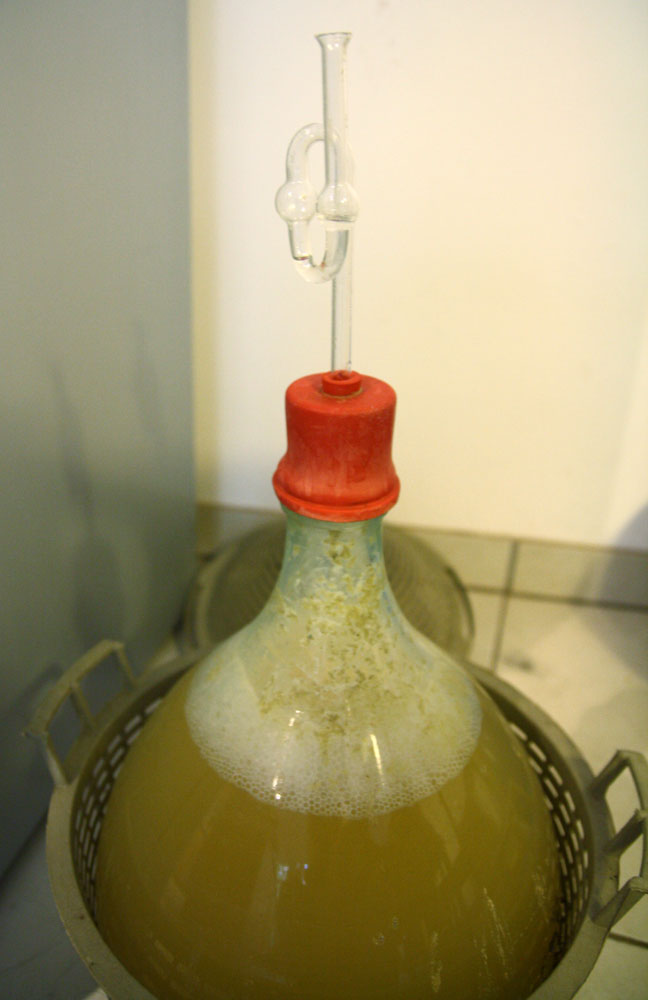 {Garden Life} Winemaking 101: The tools - No Ordinary Homestead