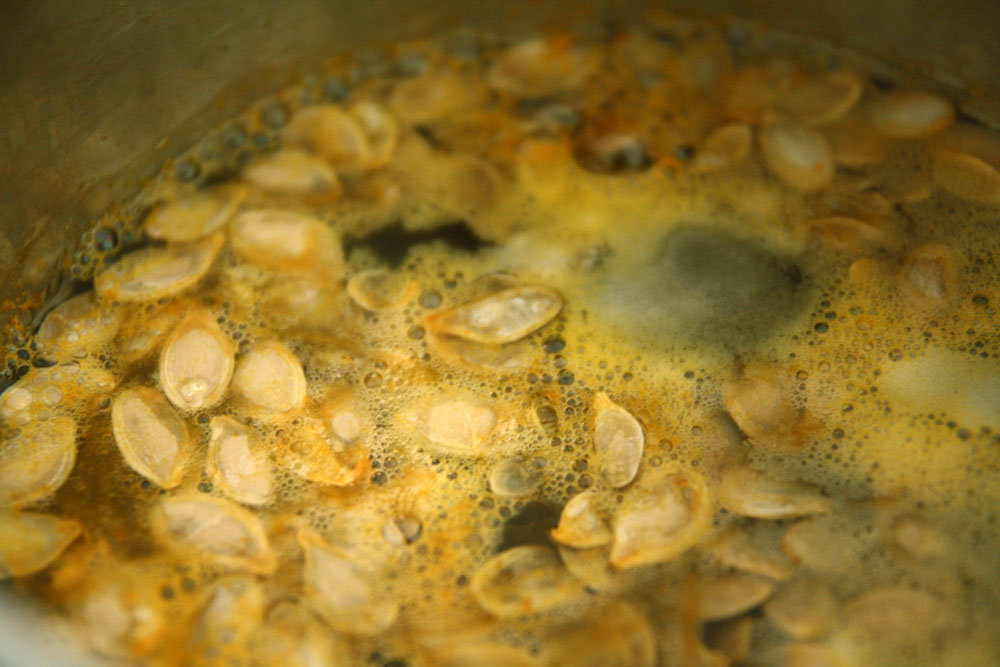 {Garden Life} Roasting Pumpkin Seeds - No Ordinary Homestead