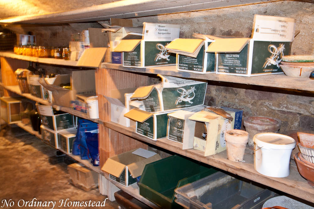 How to clean out wine cellar?