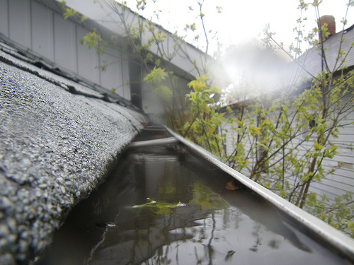 How to Mosquito-Proof Your Home