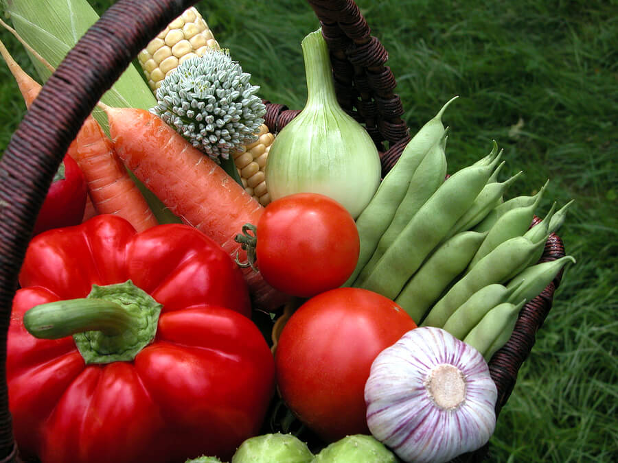 5 Ways You Can Live a Healthier Life