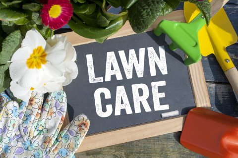 Lawn Care Tips for Green Grass - House & Home