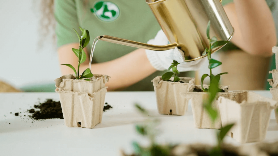 9 Ways to Incorporate Nature In Your Life